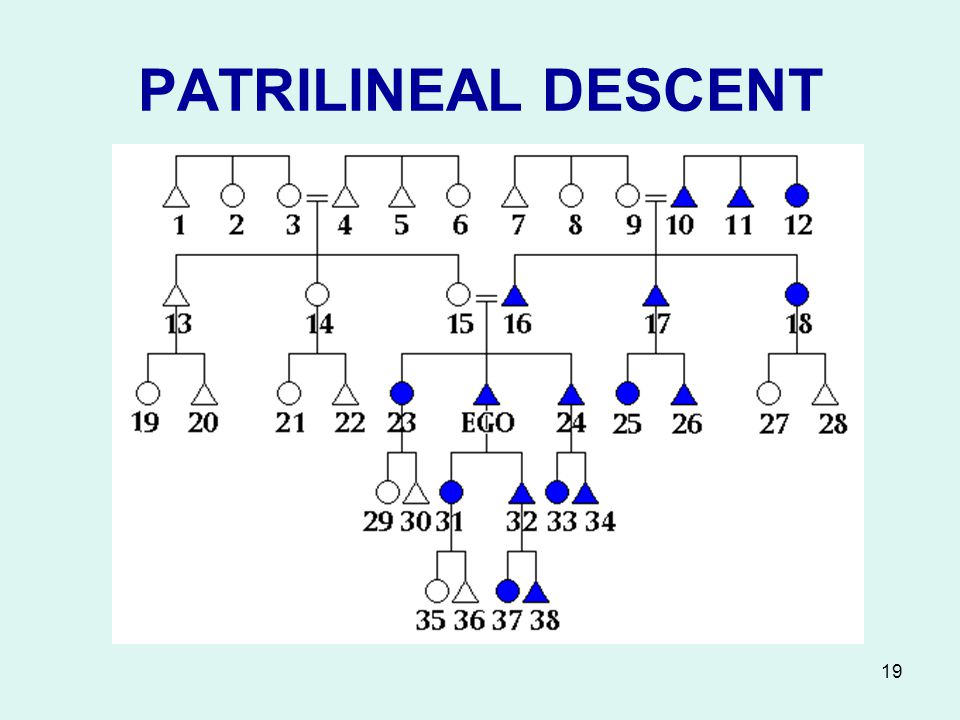 Native Americans of Cape Ann - History • Pre-contact • Archeology