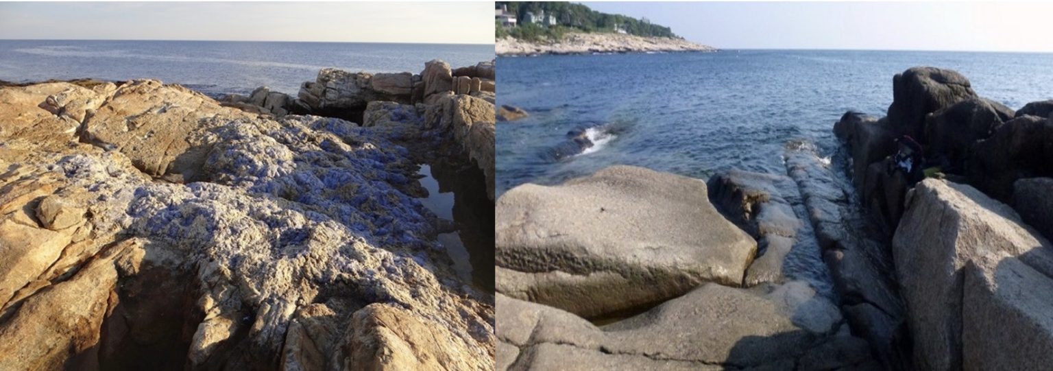 Who were the Maritime Archaics? - Indigenous History of Essex County ...