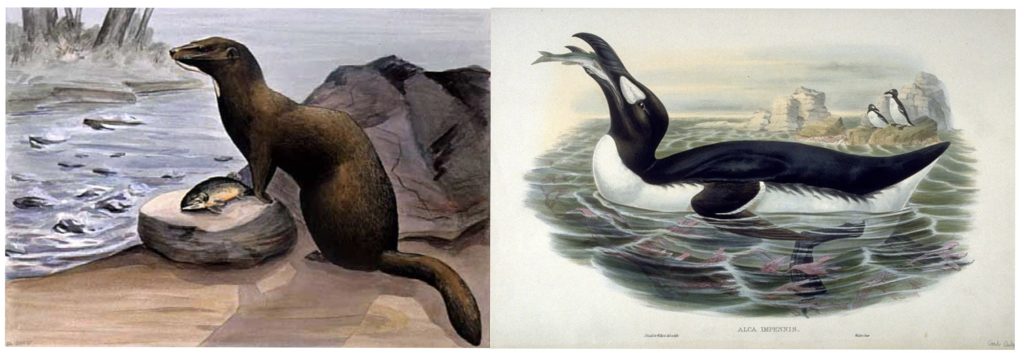 Who were the Maritime Archaics? - Indigenous History of Essex County ...