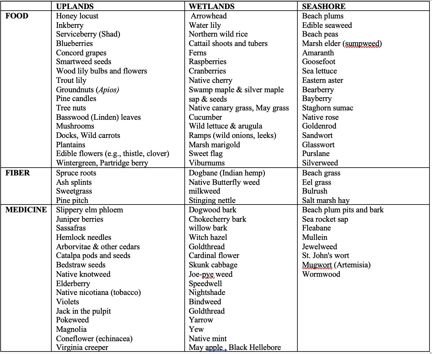How did the Eastern Algonquians make their living in Essex County ...
