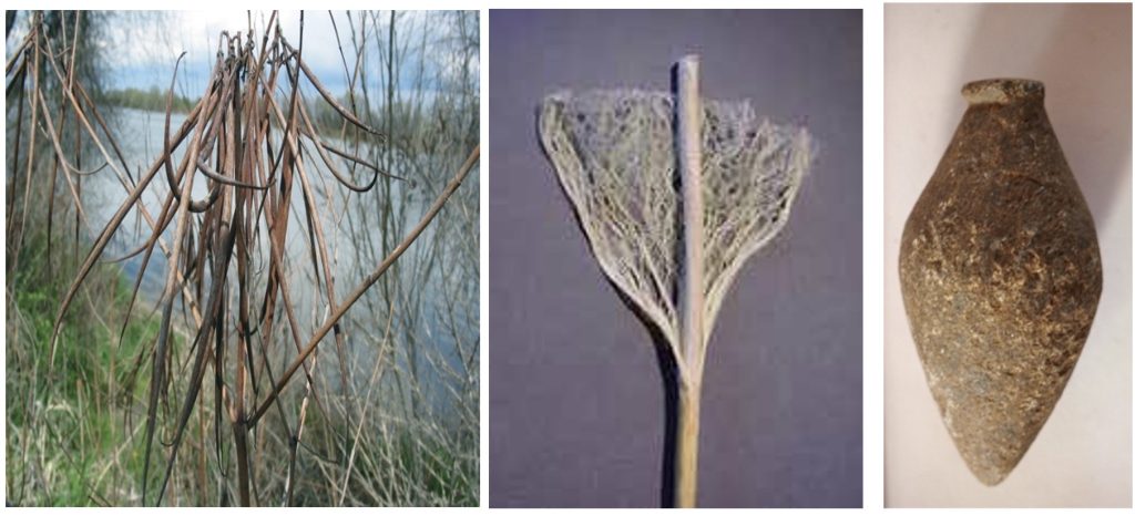 Who were the people of the Eastern Woodlands? - Indigenous History of ...