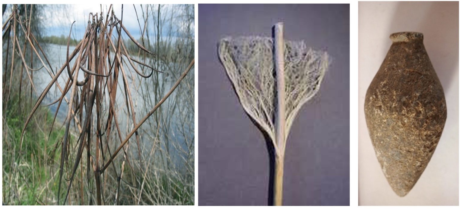 Who were the people of the Eastern Woodlands? - Indigenous History of ...