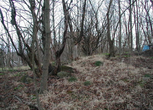 Why did we know so little about Indigenous history here? - Indigenous ...